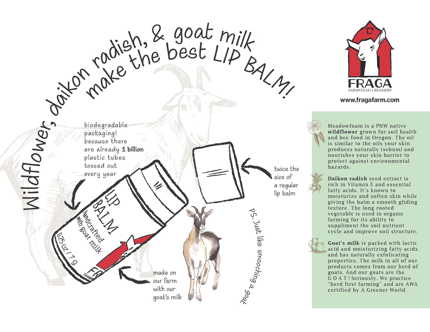 Goat Milk Lip Balm - Citrus Spice – Fraga Farm